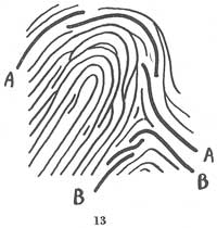 The Science of Fingerprints