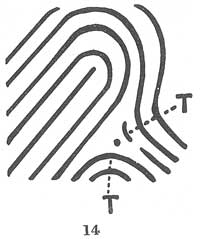 The Science of Fingerprints