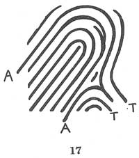 The Science of Fingerprints