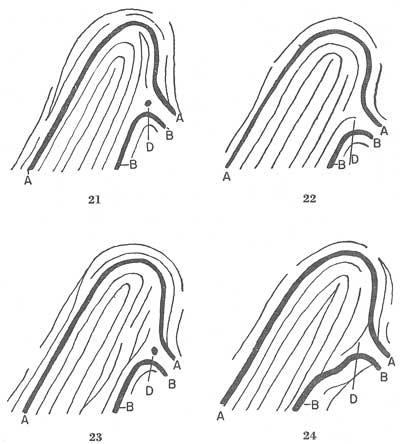 The Science of Fingerprints