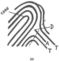 The Science of Fingerprints