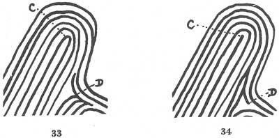 The Science of Fingerprints
