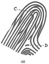 The Science of Fingerprints