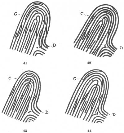The Science of Fingerprints