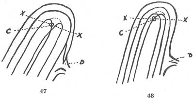 The Science of Fingerprints