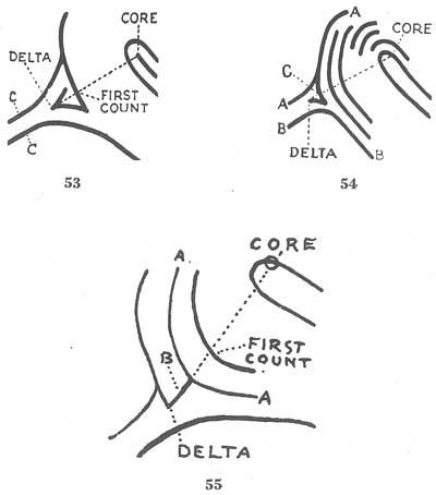 The Science of Fingerprints