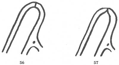 The Science of Fingerprints