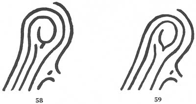 The Science of Fingerprints