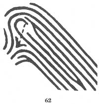 The Science of Fingerprints