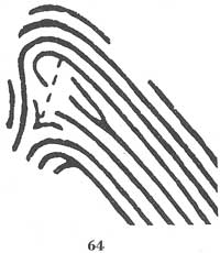 The Science of Fingerprints