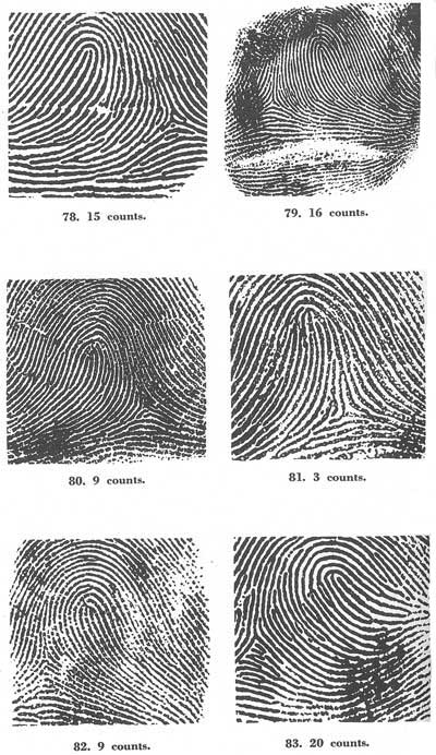 The Science of Fingerprints