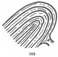 The Science of Fingerprints