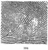 The Science of Fingerprints