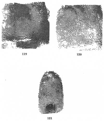 The Science of Fingerprints