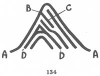 The Science of Fingerprints