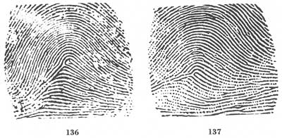 The Science of Fingerprints