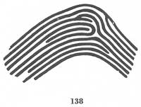 The Science of Fingerprints