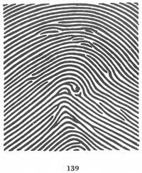 The Science of Fingerprints