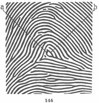 The Science of Fingerprints