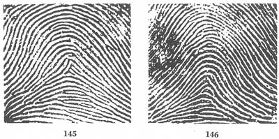 The Science of Fingerprints