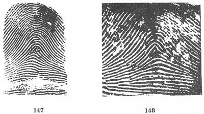 The Science of Fingerprints