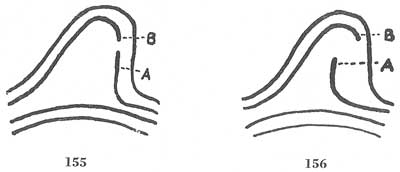 The Science of Fingerprints