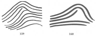 The Science of Fingerprints