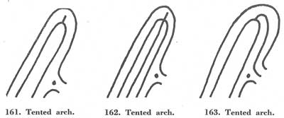 The Science of Fingerprints