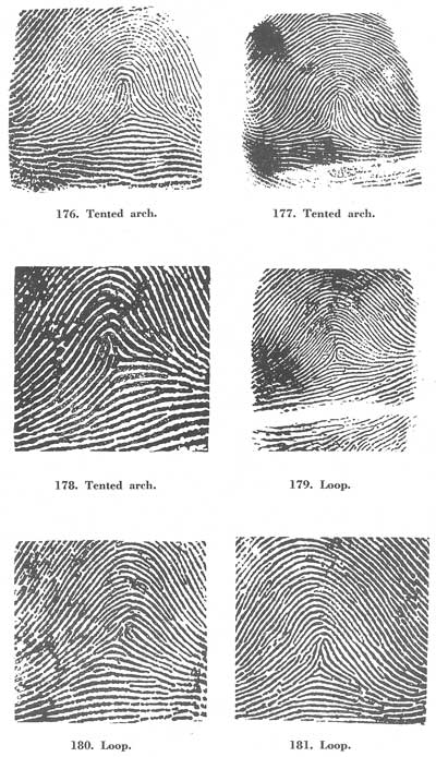 The Science of Fingerprints