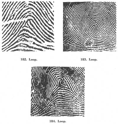 The Science of Fingerprints