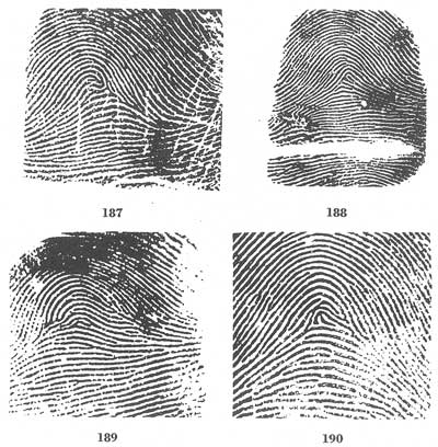 The Science of Fingerprints