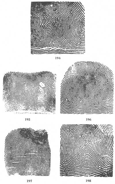 The Science of Fingerprints