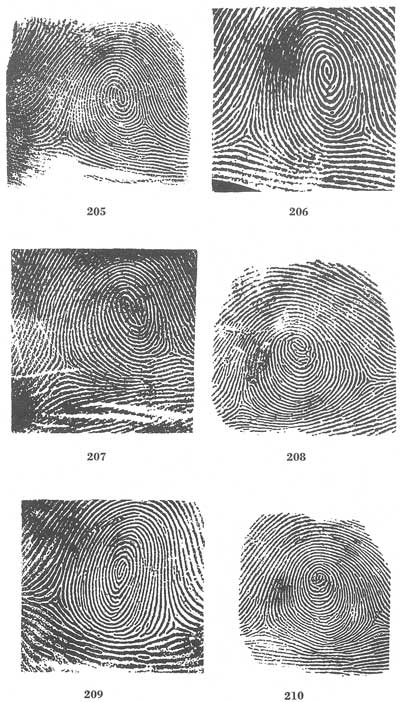 The Science of Fingerprints