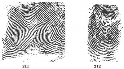 The Science of Fingerprints