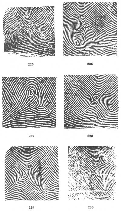 The Science of Fingerprints