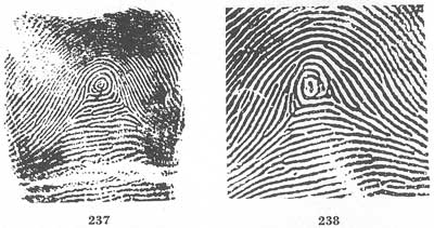 The Science of Fingerprints