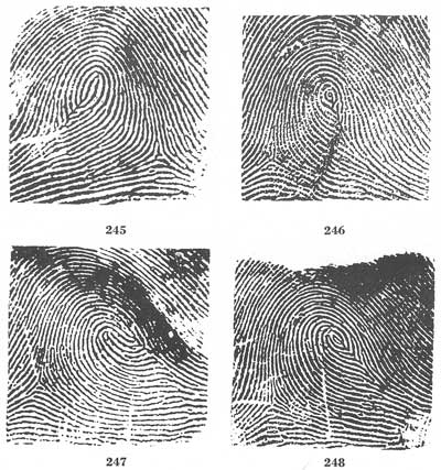 The Science of Fingerprints