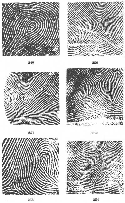 The Science of Fingerprints