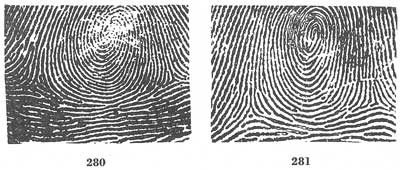 The Science of Fingerprints