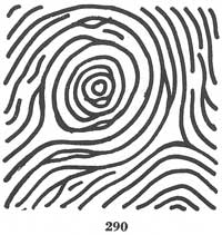 The Science of Fingerprints