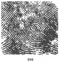 The Science of Fingerprints
