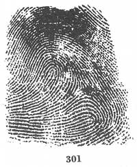 The Science of Fingerprints