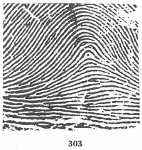 The Science of Fingerprints