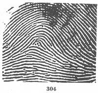 The Science of Fingerprints