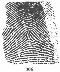 The Science of Fingerprints
