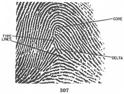 The Science of Fingerprints