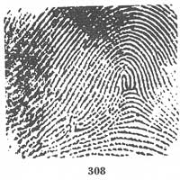 The Science of Fingerprints