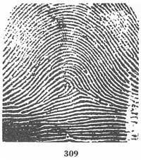 The Science of Fingerprints