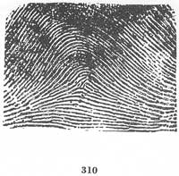 The Science of Fingerprints