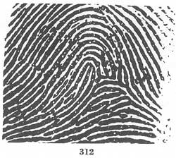 The Science of Fingerprints